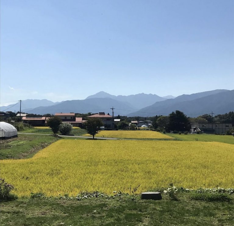 ABOUT | Rowan Coffee Roasters